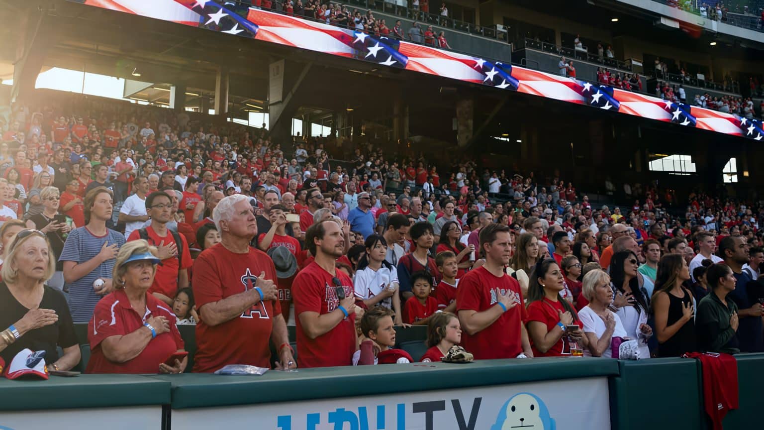 Best seats at the Angel Stadium for Baseball and Concerts